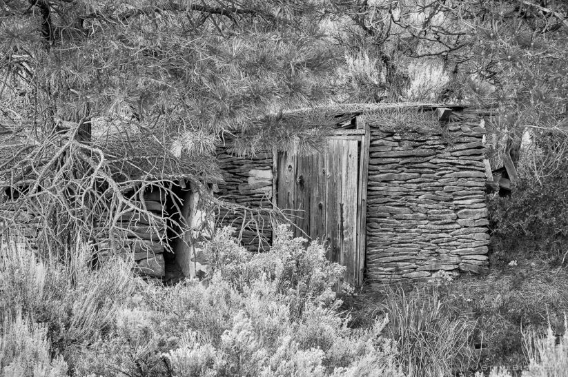 Abandoned Root Cellar, Alstown, Washington, 2013