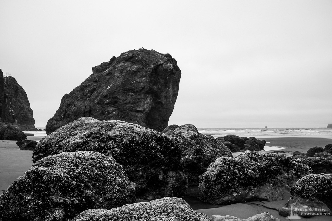 Rocks, Ruby Beach, Olympic National Park, Washington, 2013