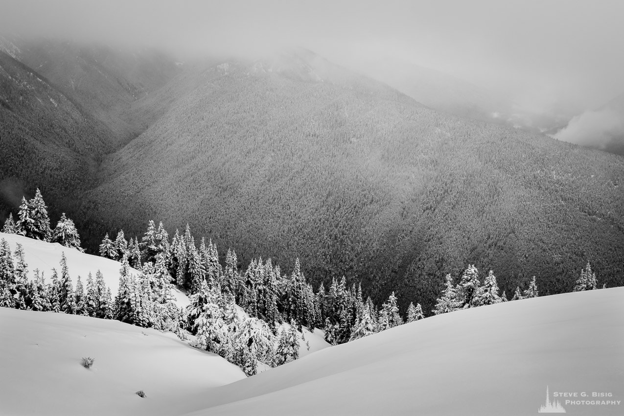 Cloudy Winter Day, Hurricane Ridge, Olympic National Park, Washington, 2016