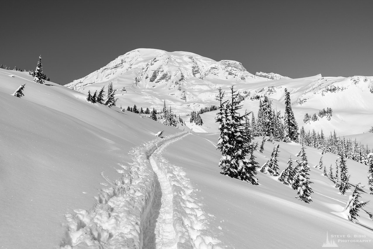 Snow Trail, Paradise, Mount Rainier, Washington, 2017