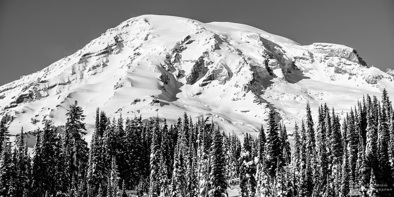 Winter Treeline, Paradise, Mount Rainier, Washington, 2017