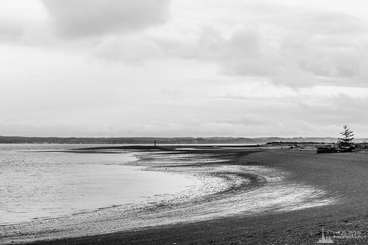 Armstrong Bay, Protection Island, Ocean Shores, Washington, 2017