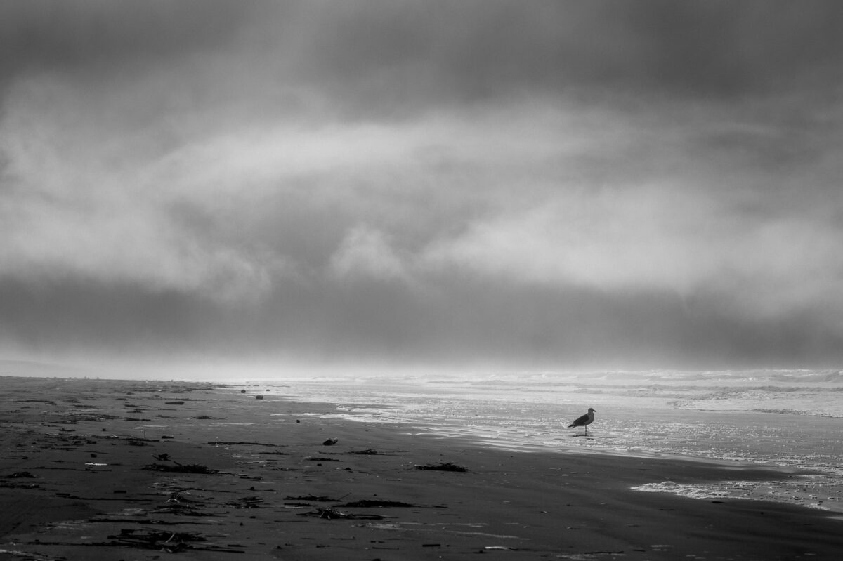 Nature & Landscape Photography of the Pacific Northwest | Steve G.Bisig